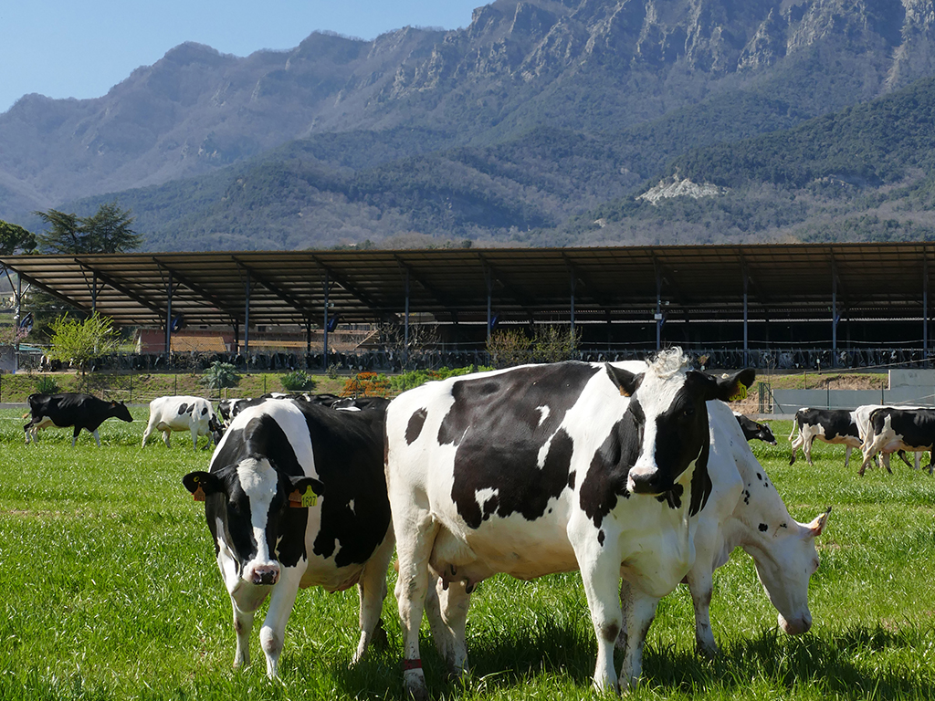 ATO Ecològic - ATO Natura