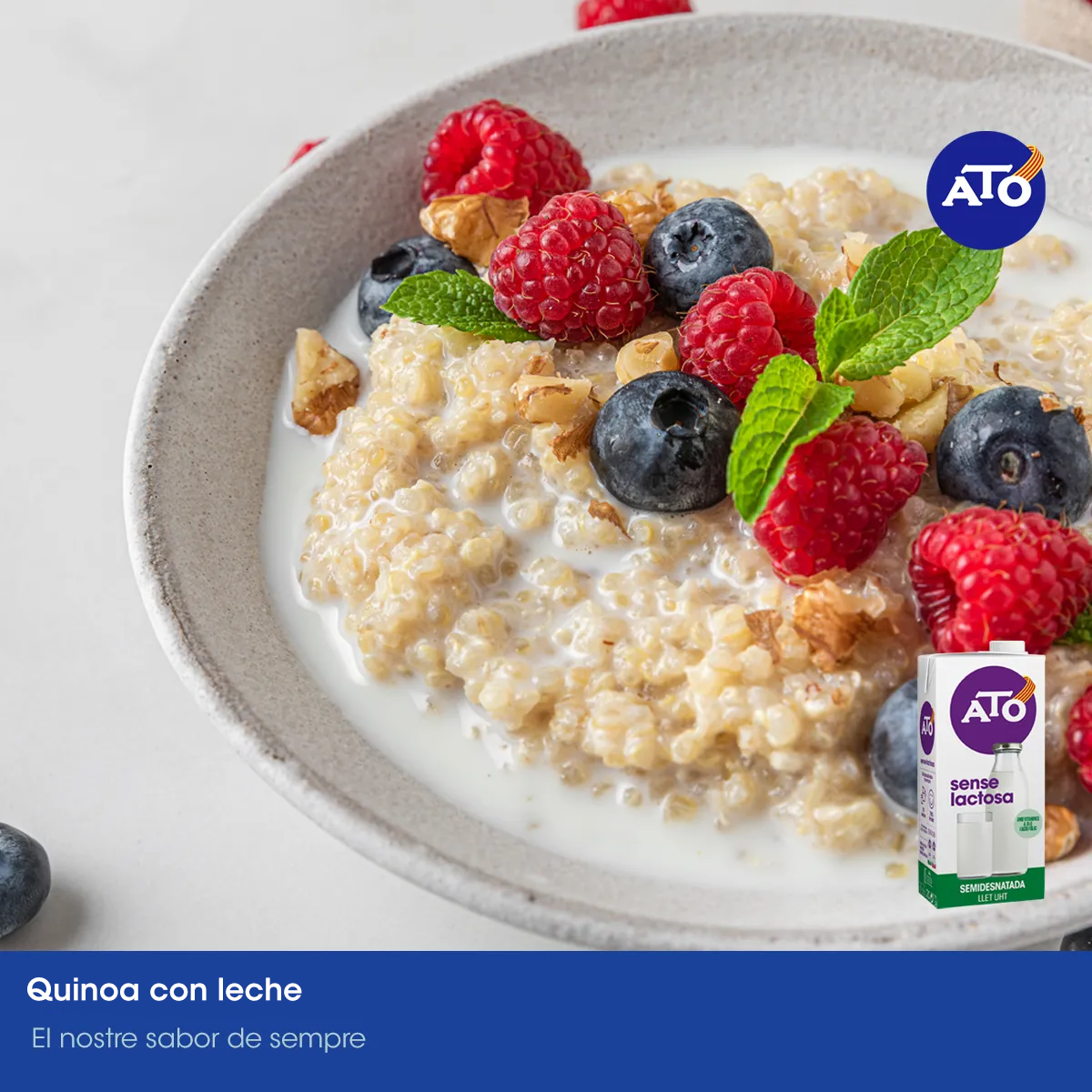 Quinoa con leche - ATO Natura